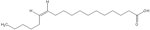 J-CHECK(日本語)
