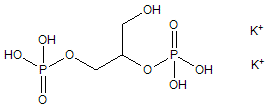 J-CHECK(English)