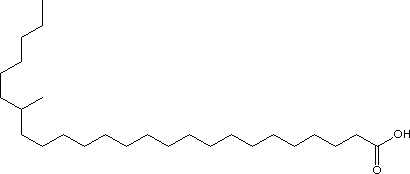 J-CHECK(日本語)